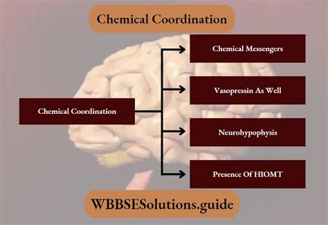 Chemical Coordination Question And Answers Wbbse Solutions