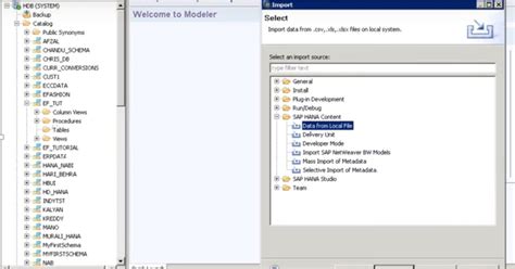 Sap Hana Expert Sequence In Sap Hana