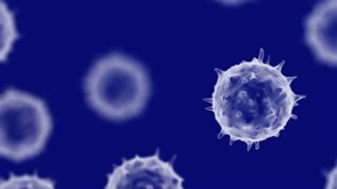 【恐怖リサーチ】日本での感染例200超！地球温暖化で「致死率70％の人食いバクテリア」大増殖中 Antenna アンテナ