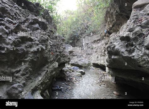 Robbers Cave Dehradun Uttarakhand Indianguchu Pani Dehardun Stock