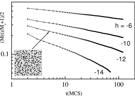An Example Of Magnetic Relaxation Calculated Through Monte Carlo