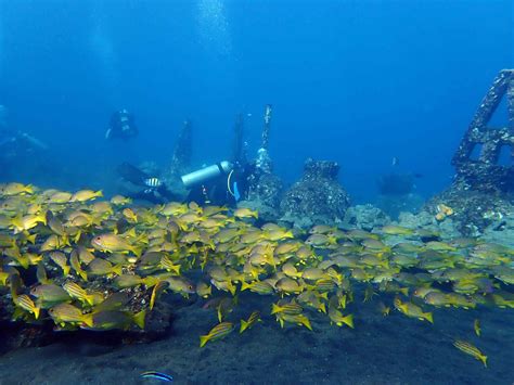 Artificial Reefs North Bali Reef Conservation
