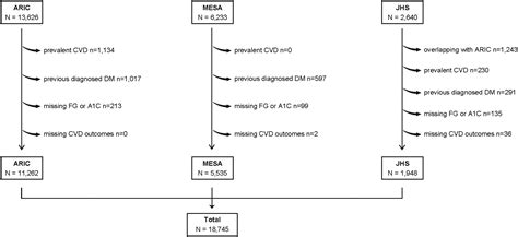 Sex Differences In Cardiovascular Risk Associated With Prediabetes And Undiagnosed Diabetes