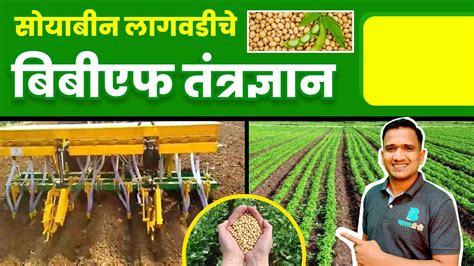 सोयाबीन पिकाचे बिबीएफ तंत्रज्ञान जे देते एकरी १५ क्विंटल उत्पादन
