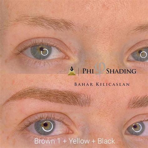 Phibrows Pigment Chart Phibrows Colors Illustrated