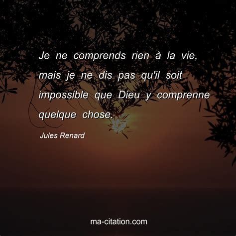 Je ne comprends rien Ã la vie mais je ne dis pas qu il soit impossible