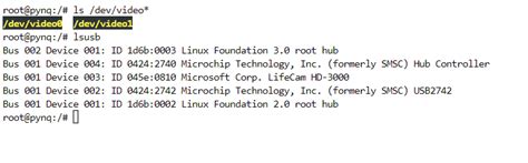 Rfsoc 4x2 Issue With The Notebook Displayportintroduction Support