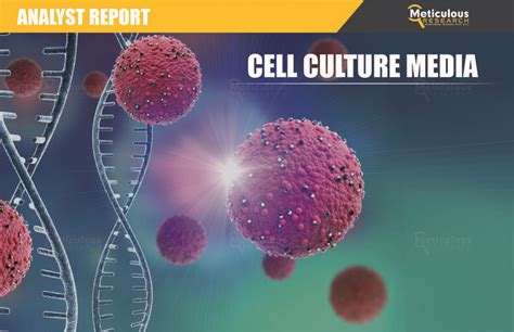 A Guide To Cell Culture Media Manish Gavali Posted On The Topic Linkedin