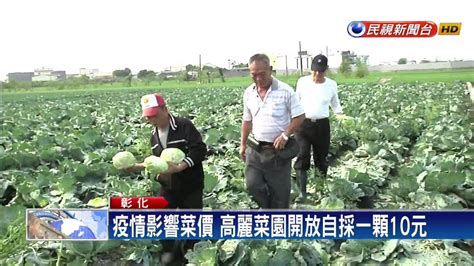 疫情影響菜價 農民開放摘採高麗菜－民視新聞 Youtube