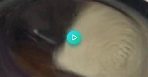 Washing Machine Album On Imgur