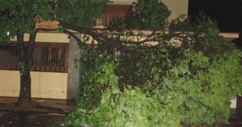 G1 Forte Chuva Derruba árvores Postes E Destelha Casas Em Descalvado