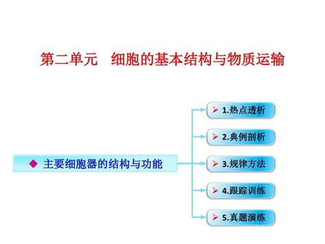 高考生物一轮复习第二单元细胞的基本结构与物质运输03主要细胞器的结构与功能课件新人教版 Word文档免费下载 亿佰文档网