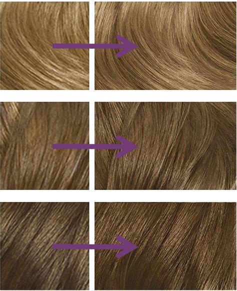 Clairol Nicen Easy No Ammonia Hair Dye 90 Dark Ash Blonde 1 Count
