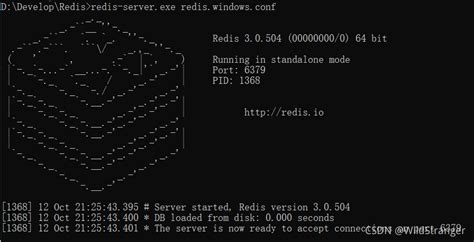 Redis：报错creating Server Tcp Listening Socket 6379 Bind No Error