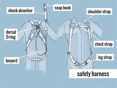 Parts Of A Body Harness