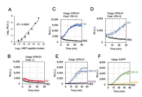Ev Cargo Delivery Evcd Assay Download Scientific Diagram