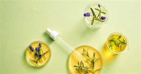 What Is Linalool Terpene Effects And Benefits Rise Dispensaries