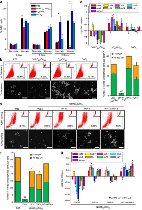 Gdc82oh22 Efficiently Eliminated Breast Csc Population Through Tgf β