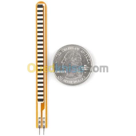 Capteur Flex 22″ Pour Arduino البليدة الجزائر
