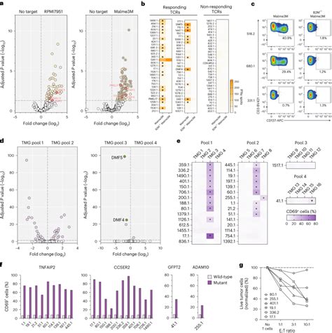 High Throughput Discovery Of Tumor Reactive T Cell Receptors Advancing