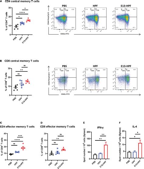 Frontiers A Tetravalent Nanoparticle Vaccine Elicits A Balanced And