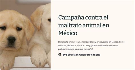 Campaña Contra El Maltrato Animal En México