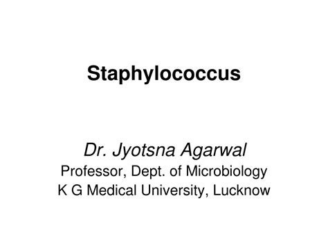Ppt Staphylococcus Human Pathogen And Skin Commensals Overview