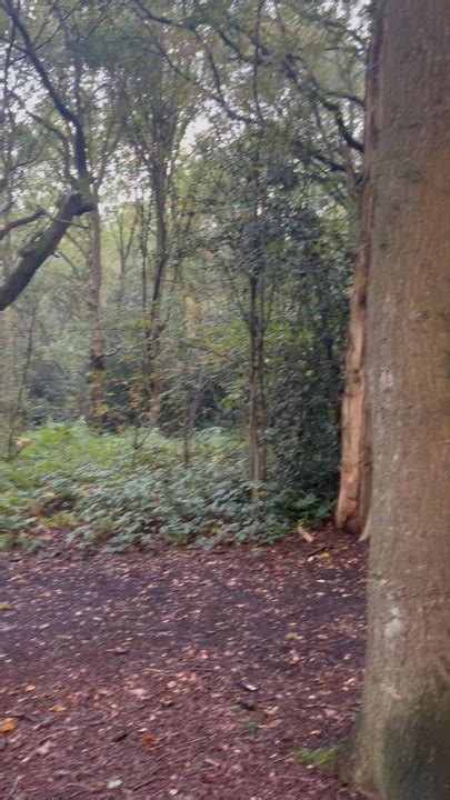 Sofia Georgiou On Linkedin Lovelife