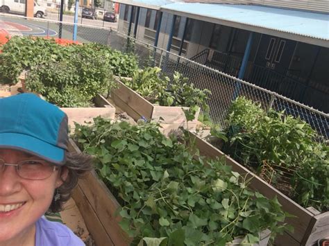 Check Out Our William Paca Elementary 83 Baltimore City Facebook