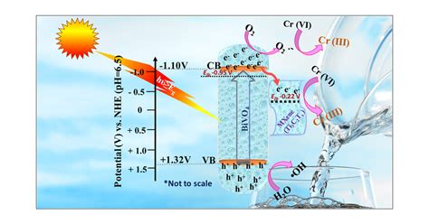 Efficient Photocatalytic Reduction Of Hexavalent Chromium By Bivo4 Decorated Mxene