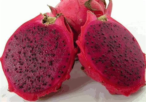 ড্রাগন ফলের পুষ্টিগুণ ও উপকারিতা Progotir Bangla