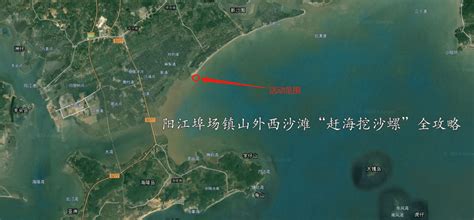 阳江埠场镇山外西沙滩“赶海挖沙螺”全攻略 搜狐大视野 搜狐新闻