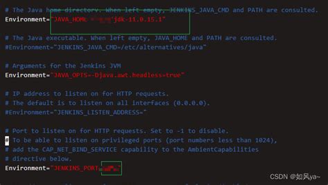 安装jenkins 2375 踩坑 Failed To Start Jenkins Continuous Intearation