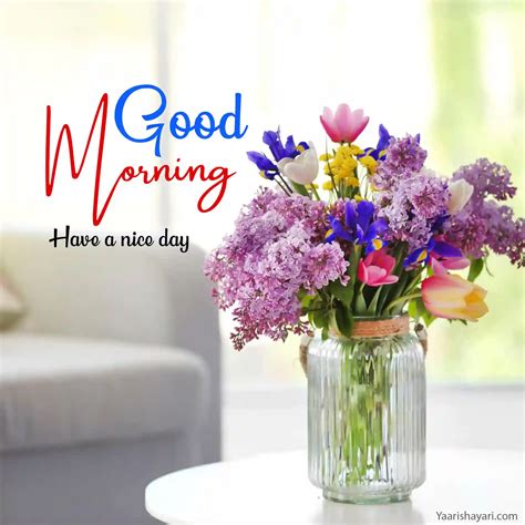 Beautiful Good Morning Images Picture Wishes