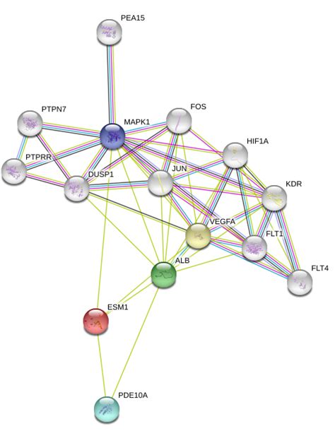 Esm1 Protein Overview Sino Biological