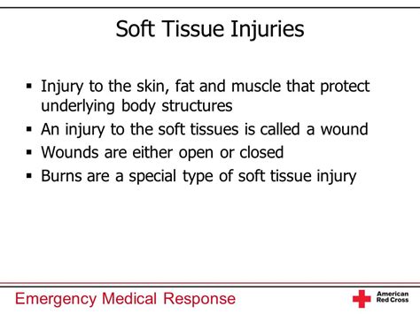 Body Code Soft Tissue Injury Pluglasopa