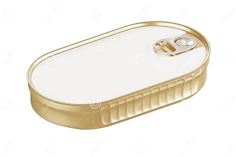 Tin Can For New Design With Text 3d Rendering Template View Of Fish