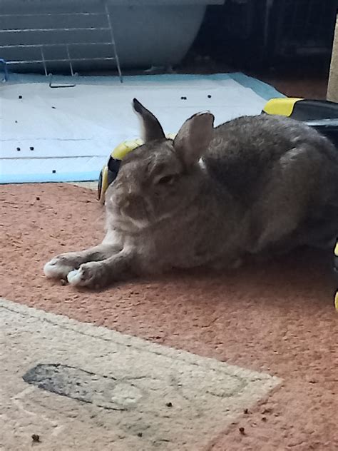 Lil Sleeping Potato Rstraightenedfeetsies