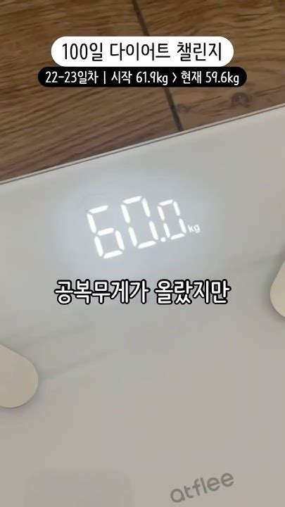 100일 다이어트 22 23일차 Youtube