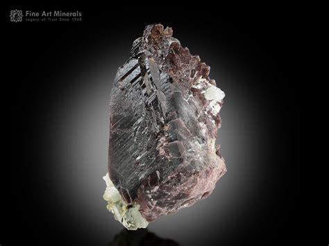 Axinite Cluster From Baluchistan Pakistan Fine Art Minerals