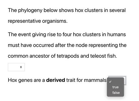 Solved The Phylogeny Below Shows Hox Clusters In Several