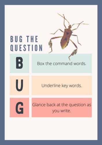 Bug The Question Poster Teaching Resources