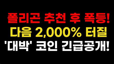 메리 크리스마스 미친 수익 고대하는 업비트 Btc 코인니어프로토콜 리플 폴리곤 비트코인 이더리움 샌드박스 보라 도지코인 디센트럴랜드 코스모스 솔라나