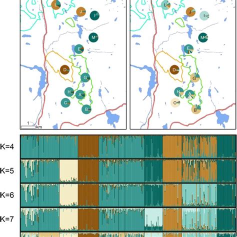 delta k plot for balanced samples in the structure analysis download