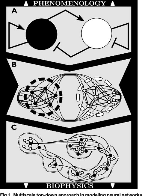 figure 1 from computational modeling of seizure dynamics using coupled neuronal networks