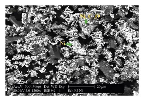 Sem Microstructure In Bse Mode Of Nickel Metal And Typical Eds