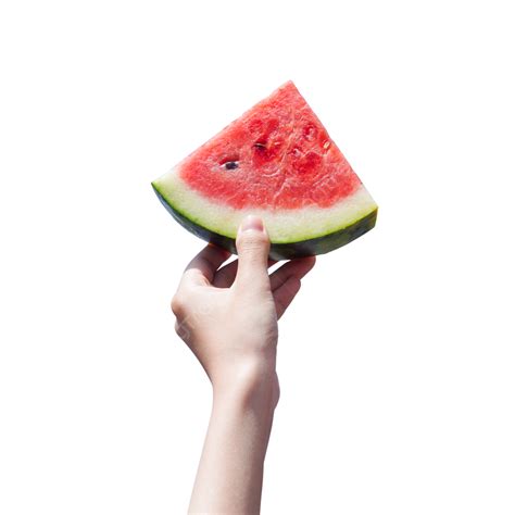 Summer Fruit Hand Holding Watermelon Summer Fruit Watermelon Png