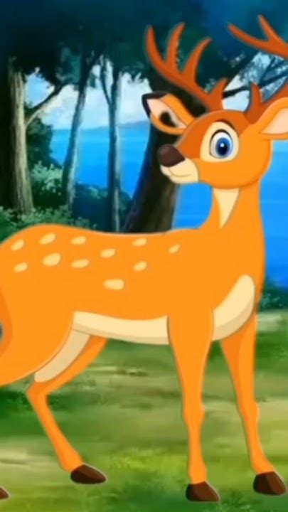 අහංකාර මුවාගේ අං තට්ටුව කාටුන් Cartoon Shorts Youtube