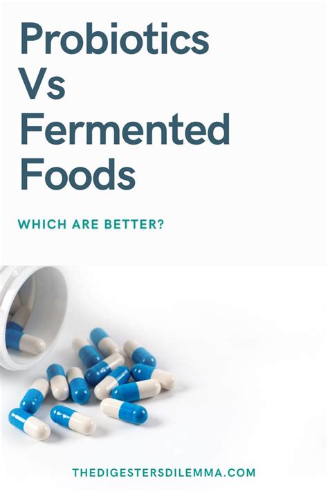 Probiotics Vs Fermented Foods Which Are Better Fermentation