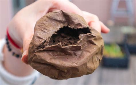 你小时候玩过这个吗？一捏就炸！ 哔哩哔哩